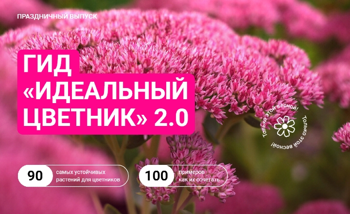 Идеальный цветник 2.0 | Марина Берестова